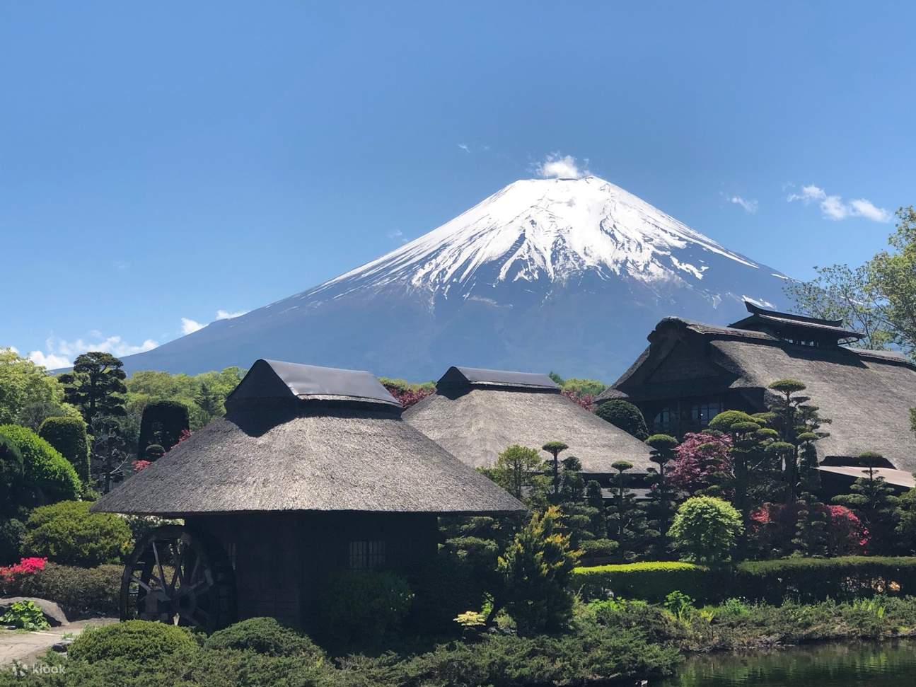 [One-day tour of Mount Fuji Internet celebrity attractions] Mount Fuji ...